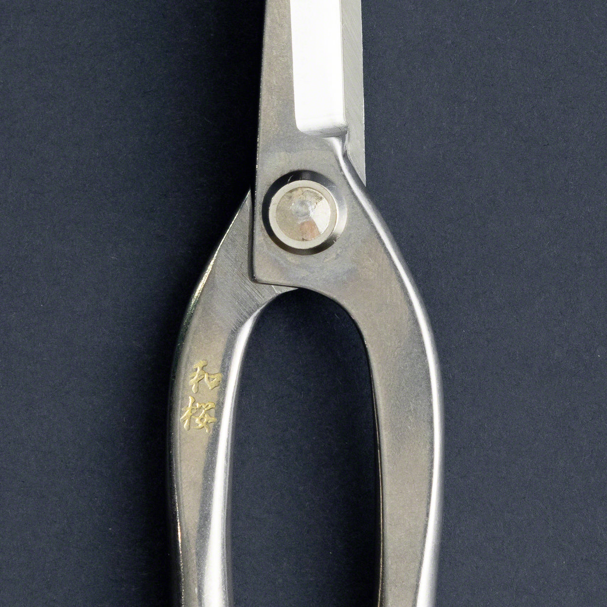 Japanese Stainless Yasugi Steel Ashinaga Bonsai Scissors MADE IN JAPAN – Wazakura Japan