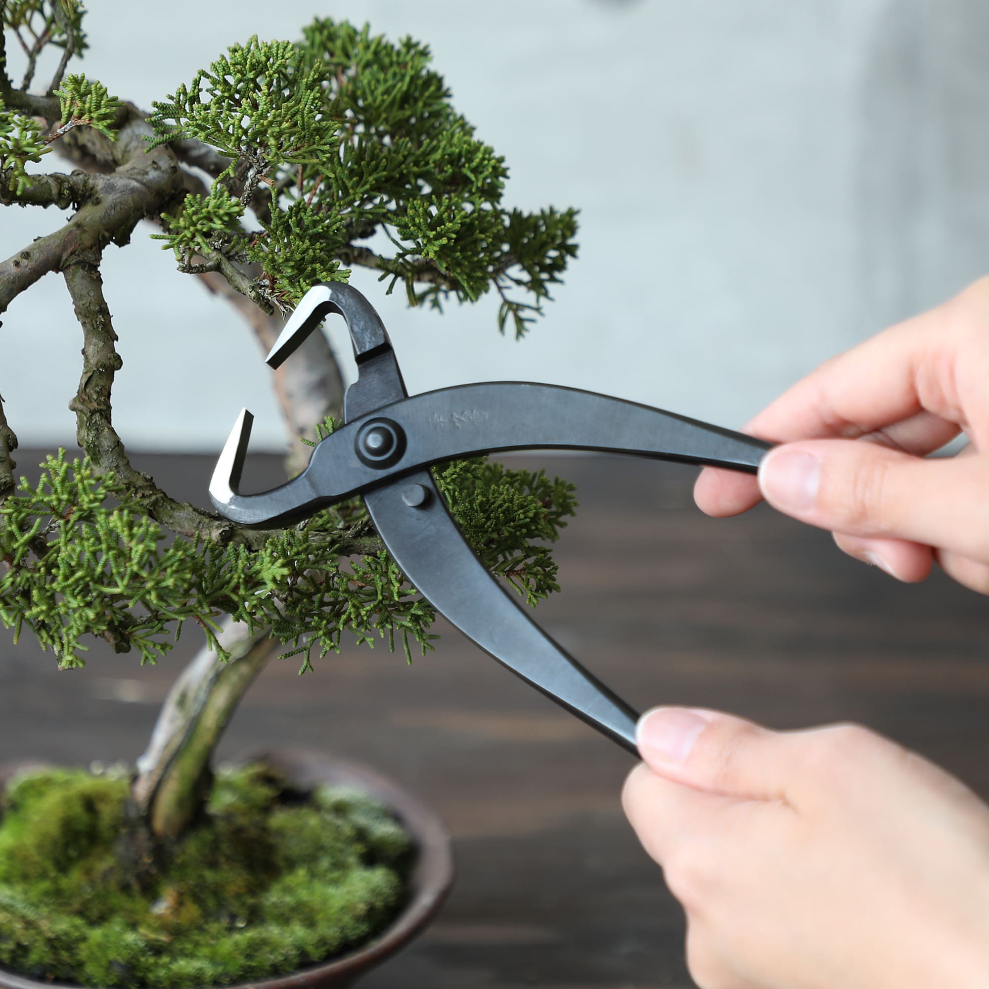 Bonsai Wire Cutter Professional Bonsai Trunk Splitter Tool - 205mm ...