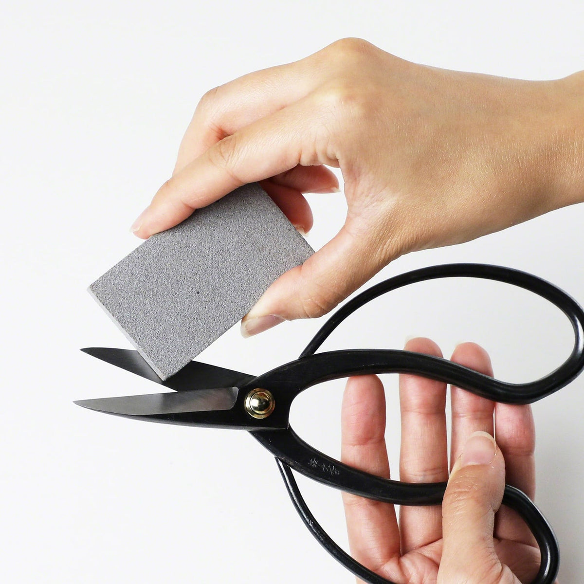 Japanese Made Bonsai Trimming Traditional Scissors and Care Kit ...