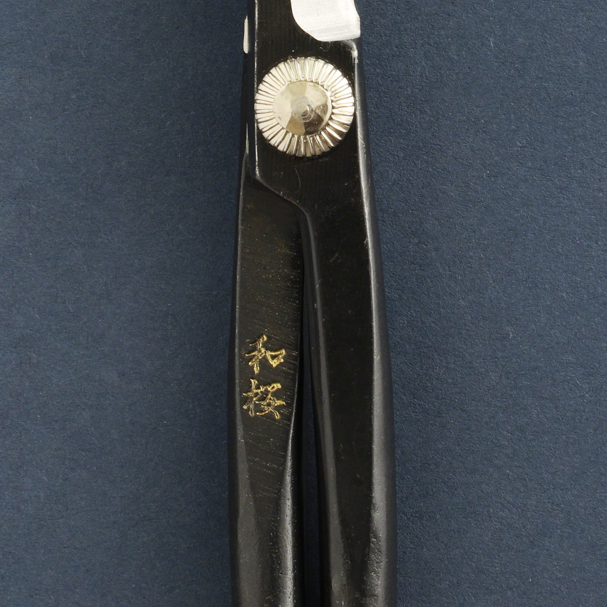 Wazakura Japanese Bonsai Essential Tool Set MADE IN JAPAN