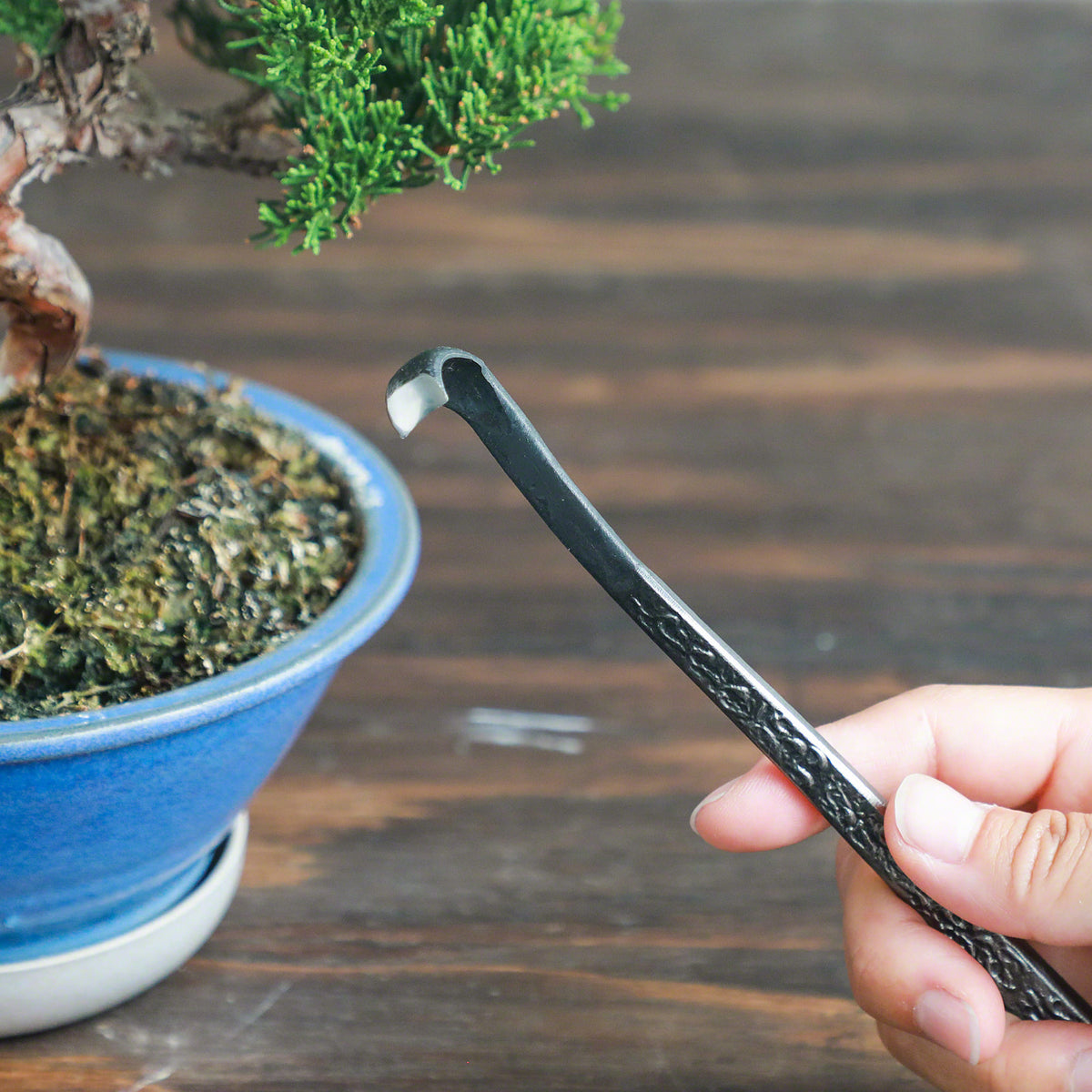 Round Blade Gouge Bonsai Chisel 7.4" (187 mm) – Wazakura Japan